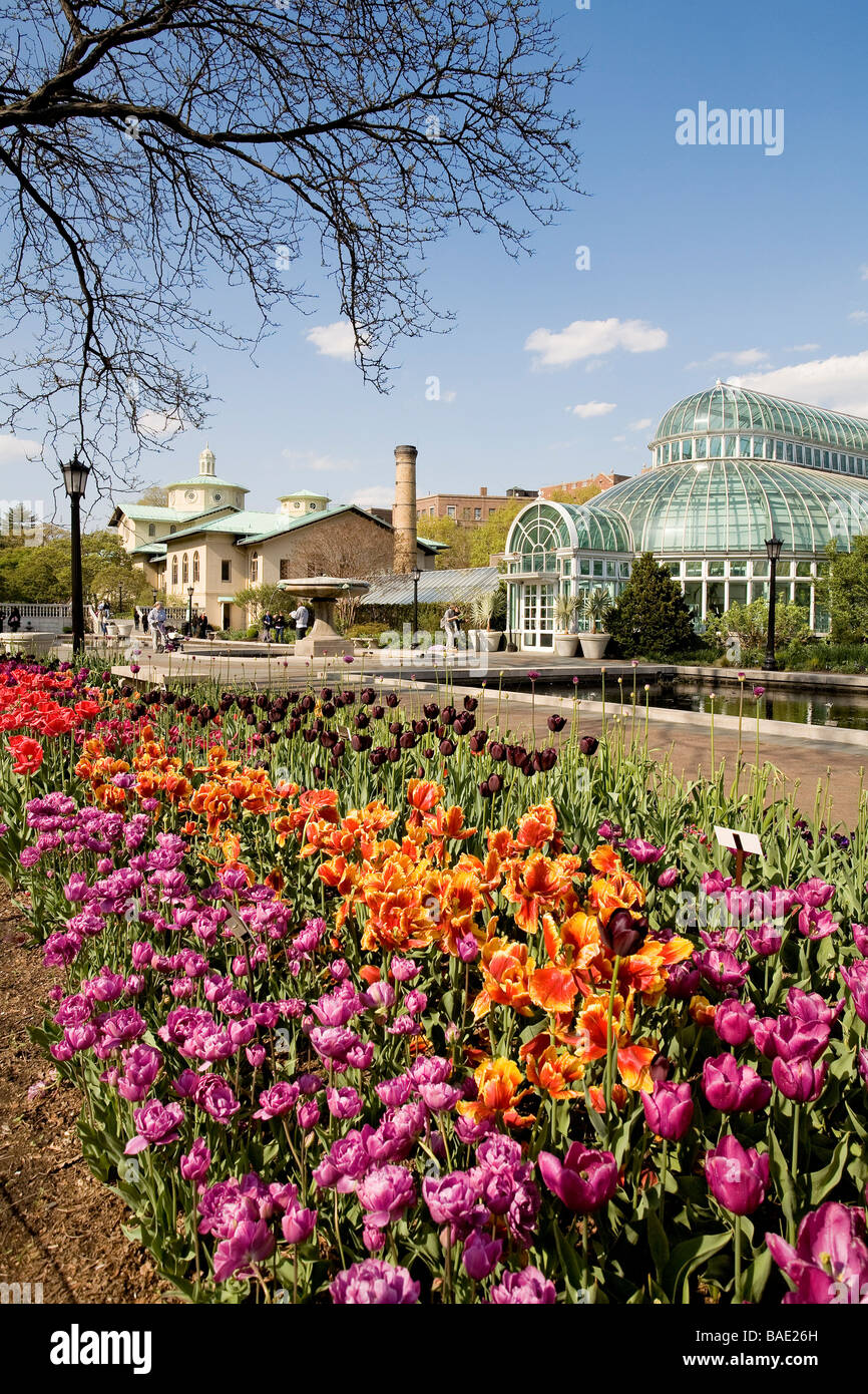 United States, New York, Brooklyn, Botanical Garden in Spring ...