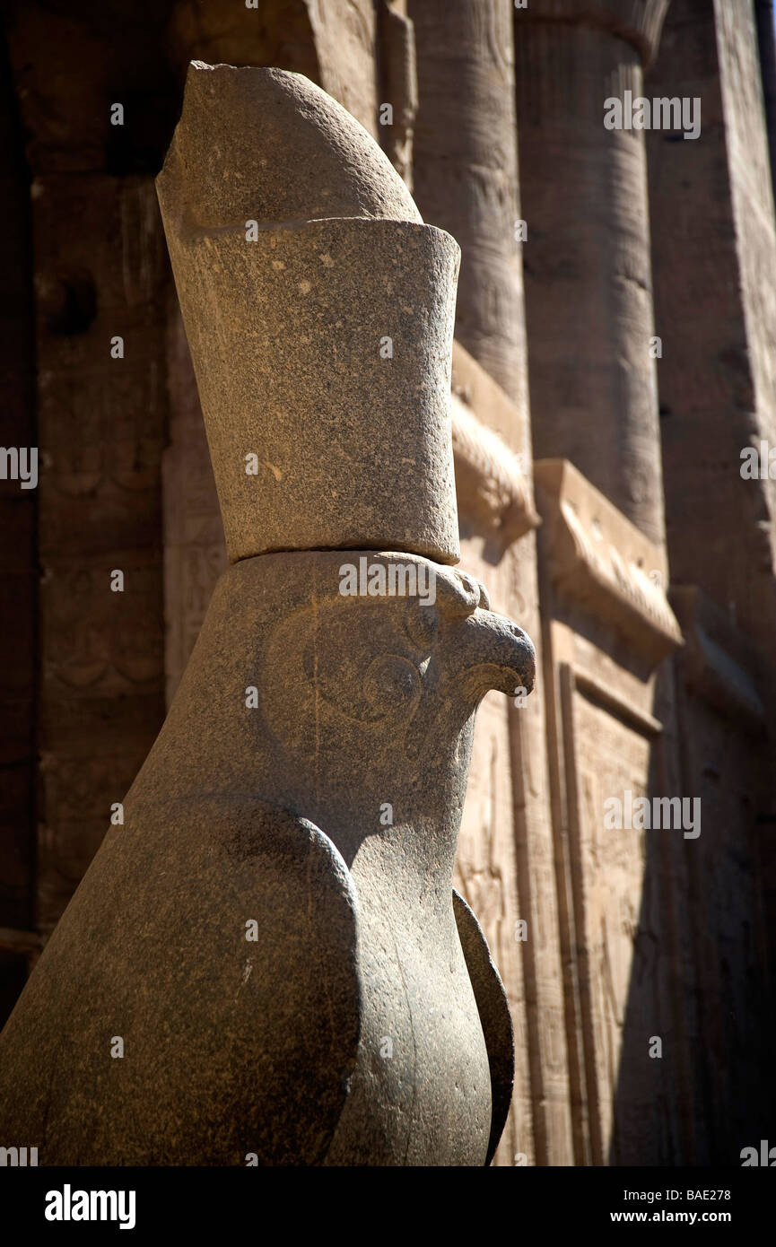 Horus statue, Temple of Horus, Edfu, Egypt, North Africa, Africa Stock ...
