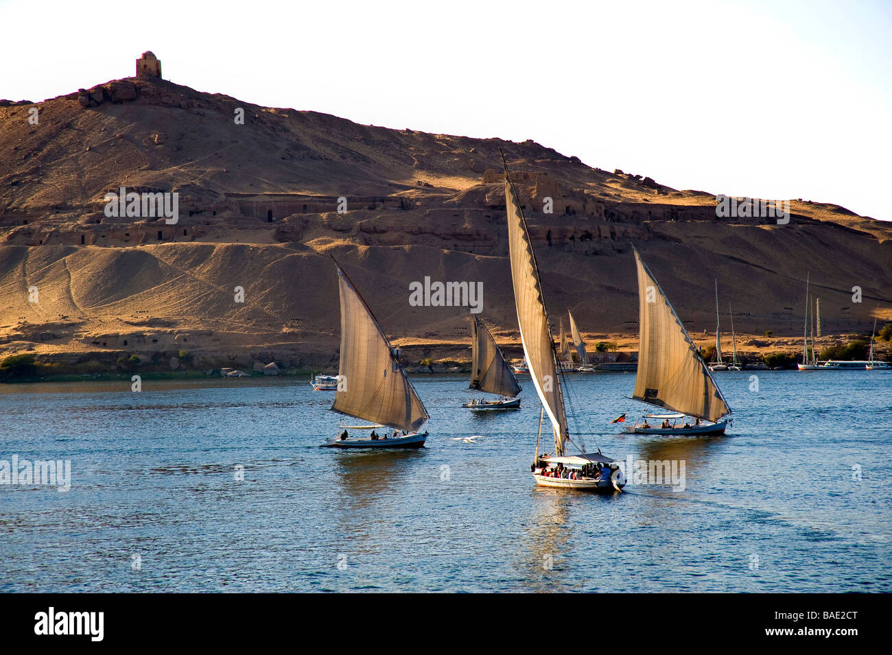 Sailing boats on Nile river, Aswan, Egypt, North Africa, Africa Stock ...
