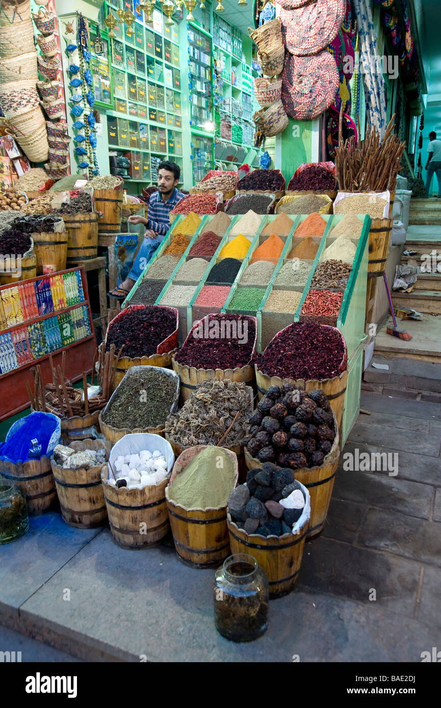 Spice seller, Aswan, Egypt, North Africa, Africa Stock Photo - Alamy