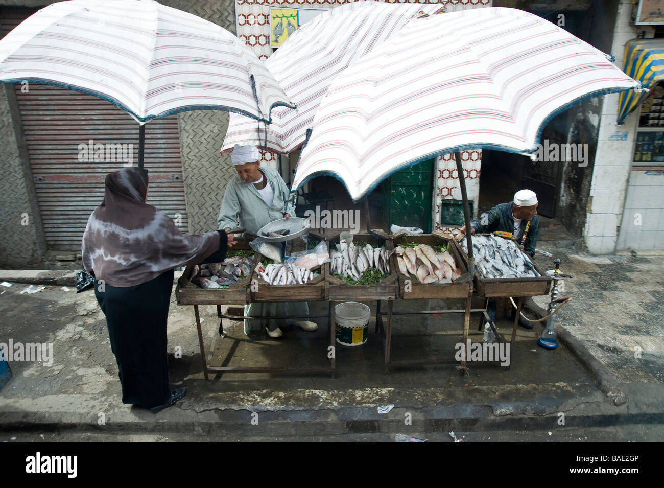 Fish stall, Cairo, Egypt, North Africa, Africa Stock Photo - Alamy