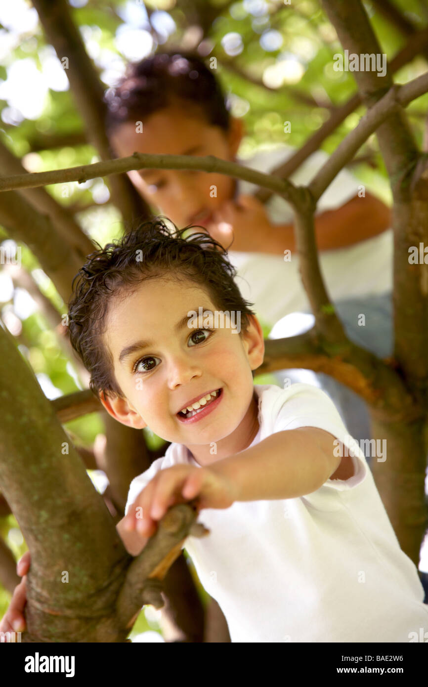 kids portrait having fun while climbing up a tree outdoors Stock Photo ...