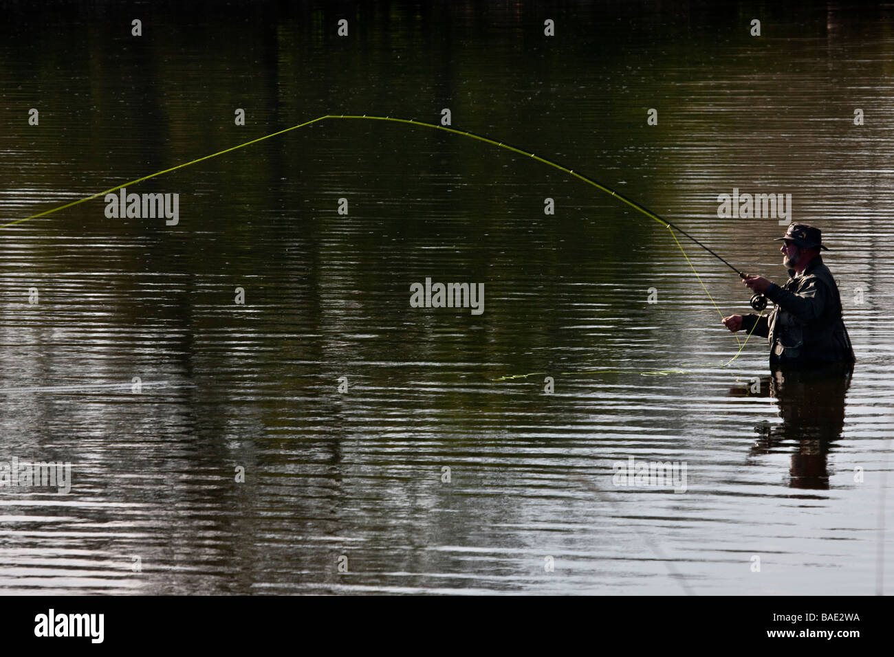 Trout fisherman wading at Thornton Reservoir Leicestershire Stock Photo ...
