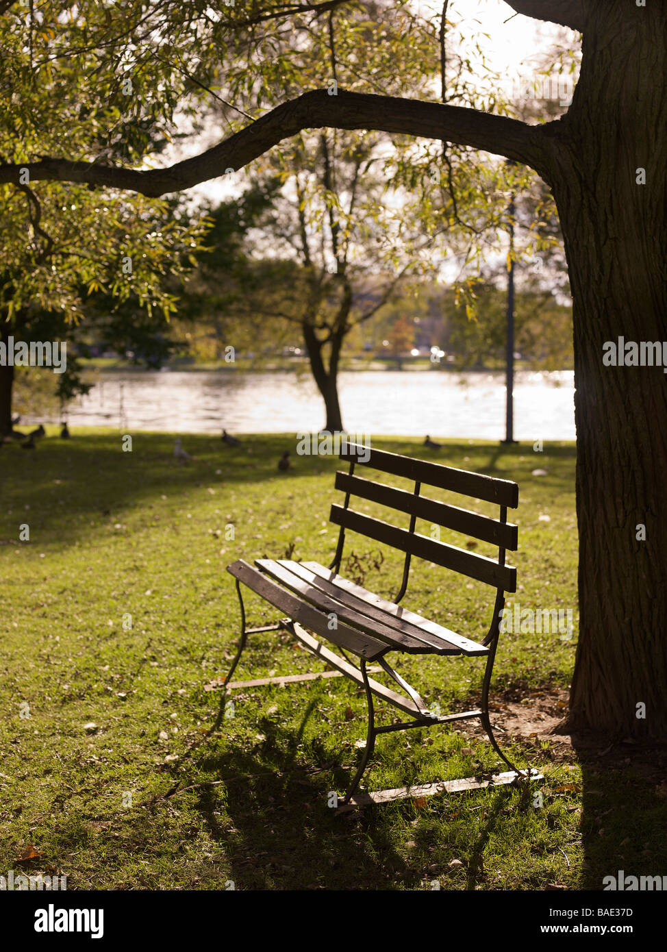 Empty Park Bench by Water, Stratford, Ontario, Canada Stock Photo - Alamy