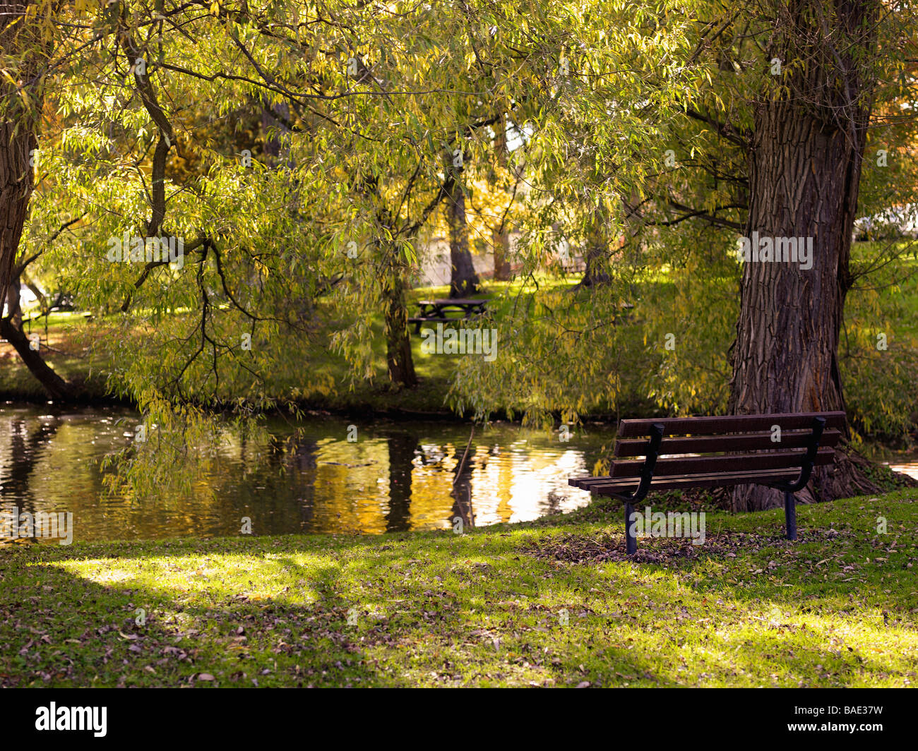 Empty Park Bench by Water, Stratford, Ontario, Canada Stock Photo - Alamy
