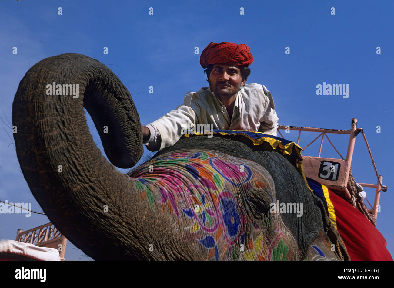 India, Rajasthan State, around Jaipur, Amber, the elephants in Palaces ...