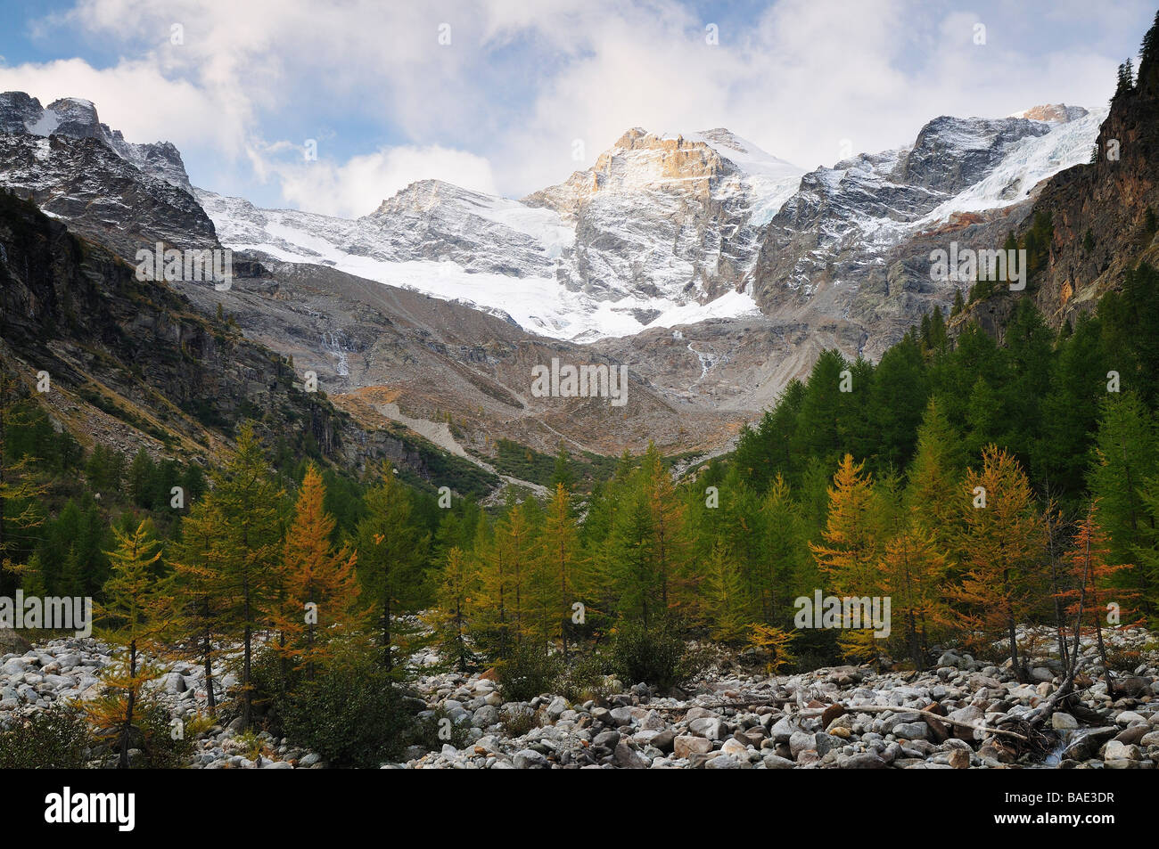 Parco nazionale del gran paradiso hi-res stock photography and images ...
