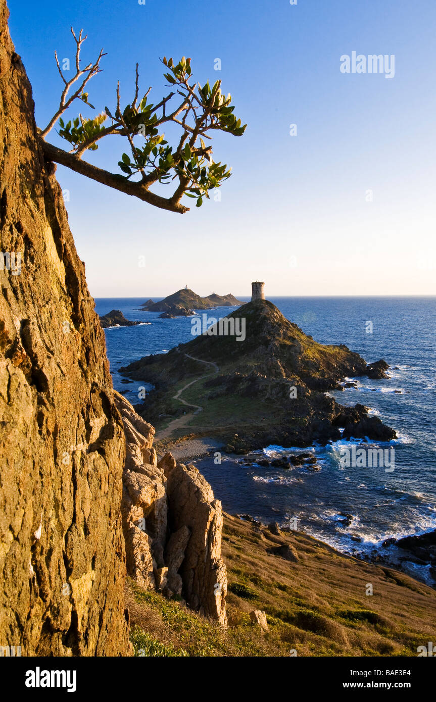 France, Corse du Sud, Pointe de la Parata, the Sanguinaires Islands ...