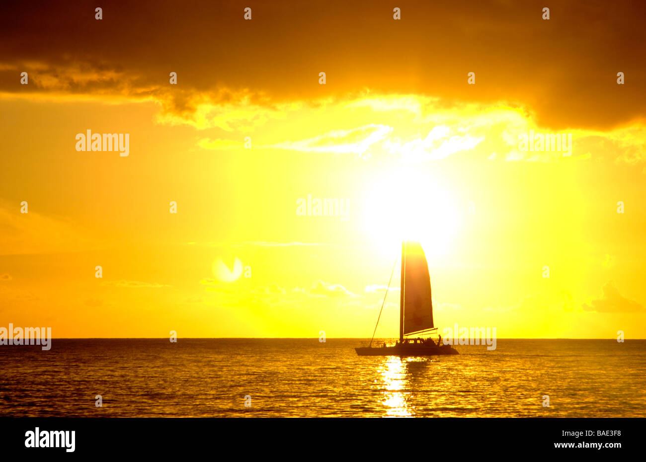 A single sail catamaran sails at sunset in Barbados Stock Photo - Alamy