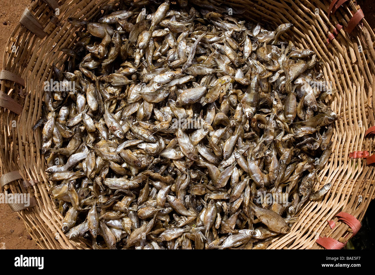 Mali food basket hi-res stock photography and images - Alamy