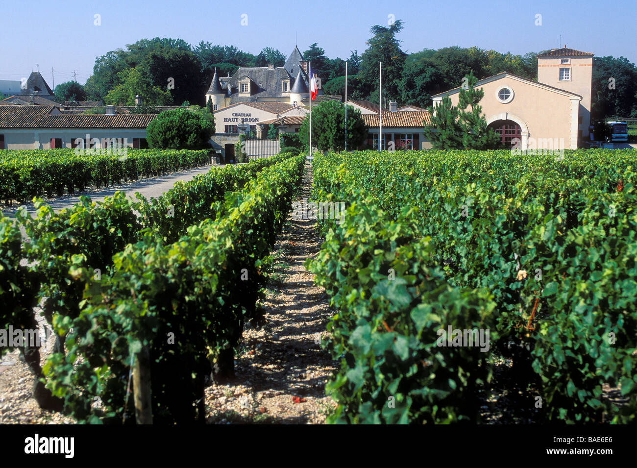 Chateau haut brion hi-res stock photography and images - Alamy