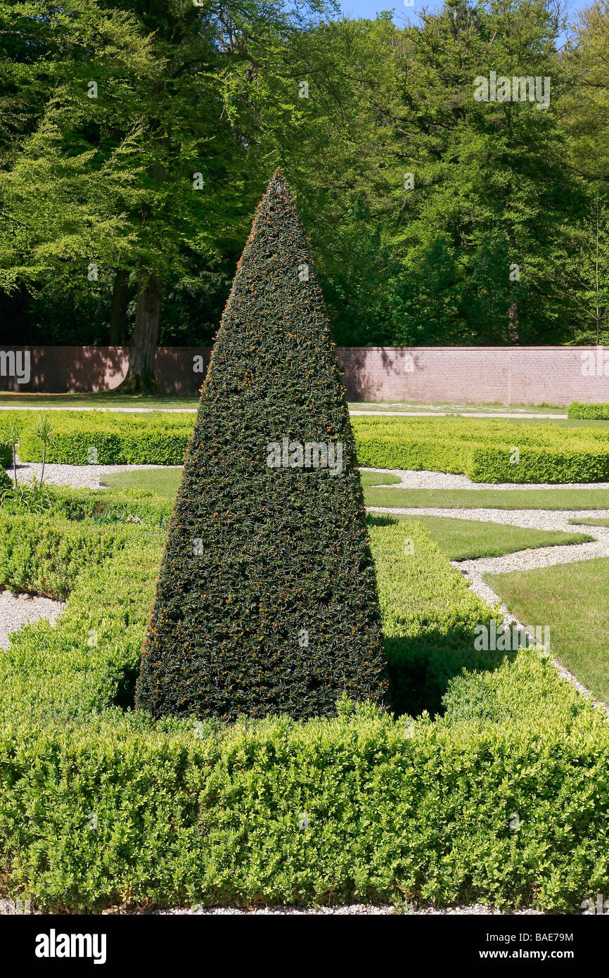 Box edge and Taxus baccata, Paleis Het Loo, Apeldoorn, Holland, Europe ...