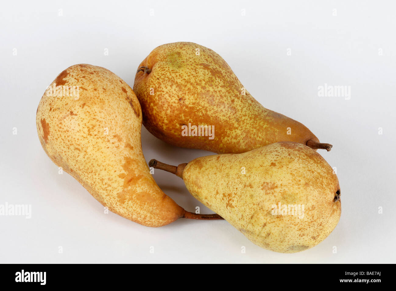 Pear "Abate Fetel Stock Photo - Alamy
