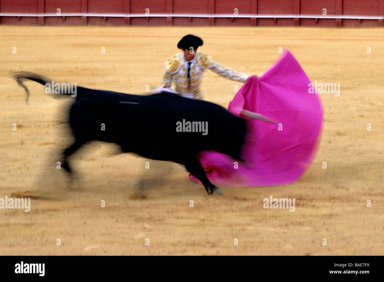 Spain, Andalusia, Sevilla, faena (last act of the Bullfighting) in la ...