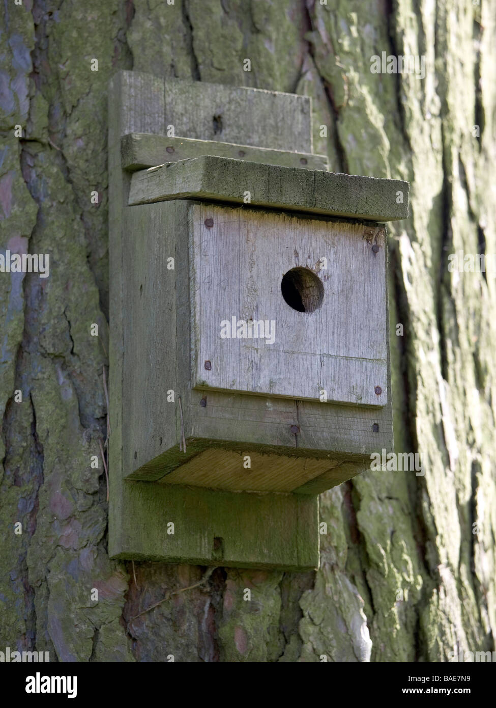 Tree mounted nesting box hi-res stock photography and images - Alamy