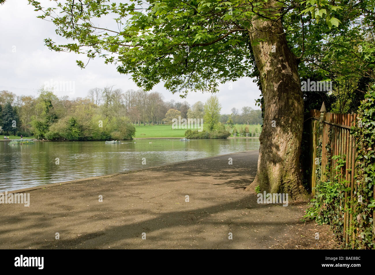 Looking over Lake Stock Photo - Alamy
