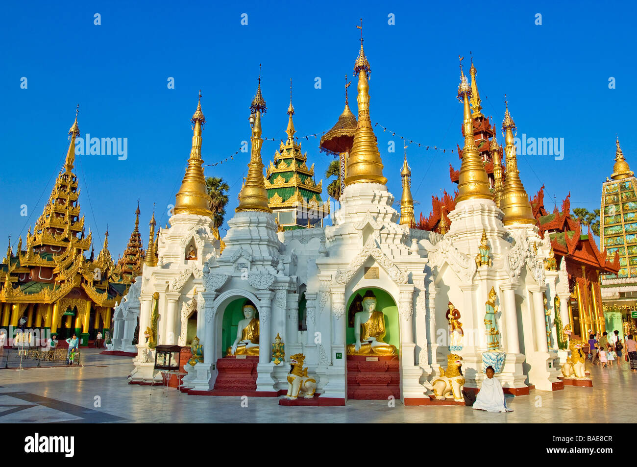 Myanmar (Burma), Yangon Division, Yangon, Singuttara hill, main courtyard of the Shwedagon ...