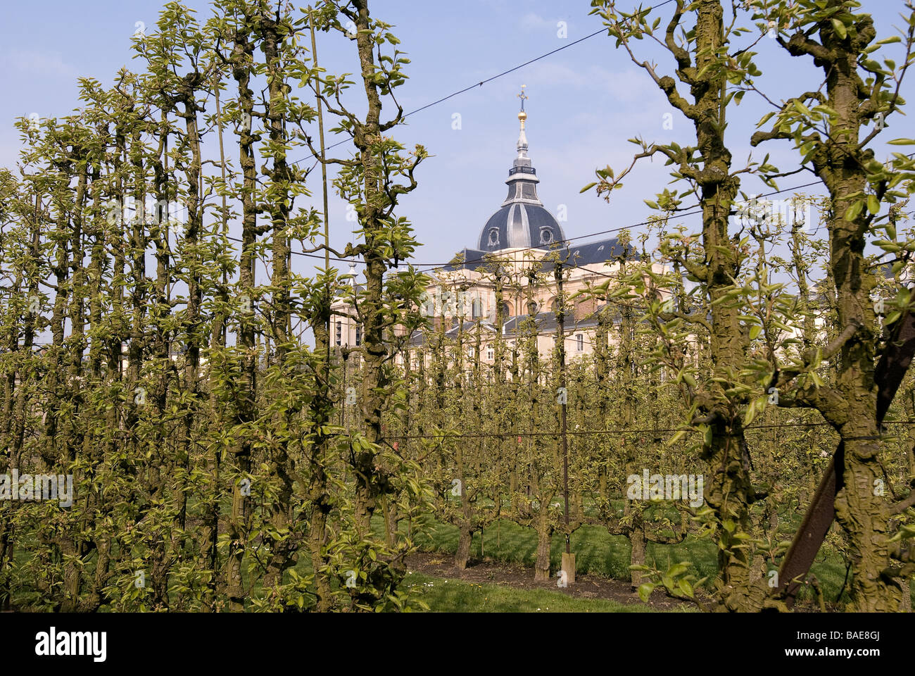 France, Yvelines, Chateau de Versailles Park, classified as World ...