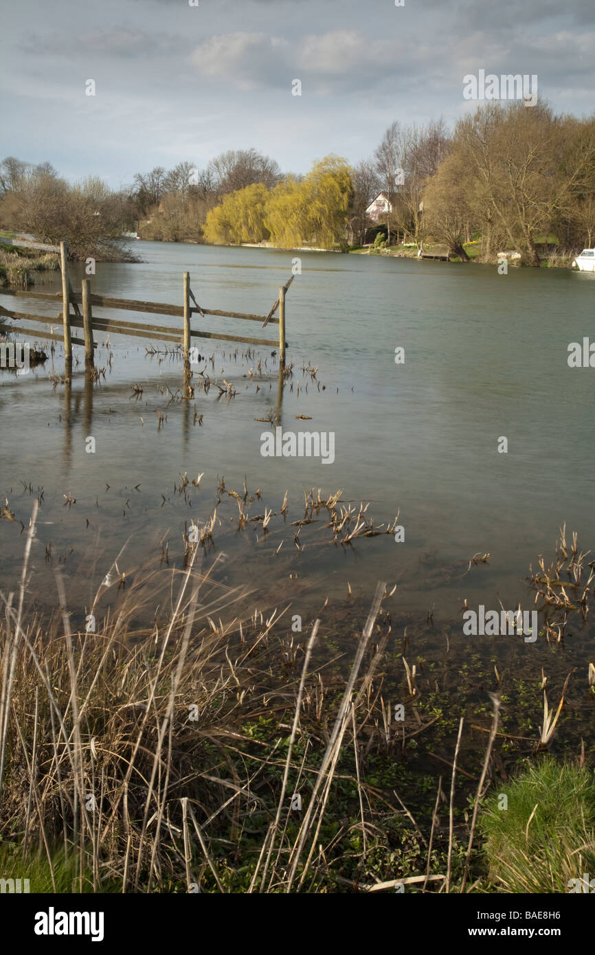 River Thames between Little Wittenham and Clifton Hampden Oxfordshire ...