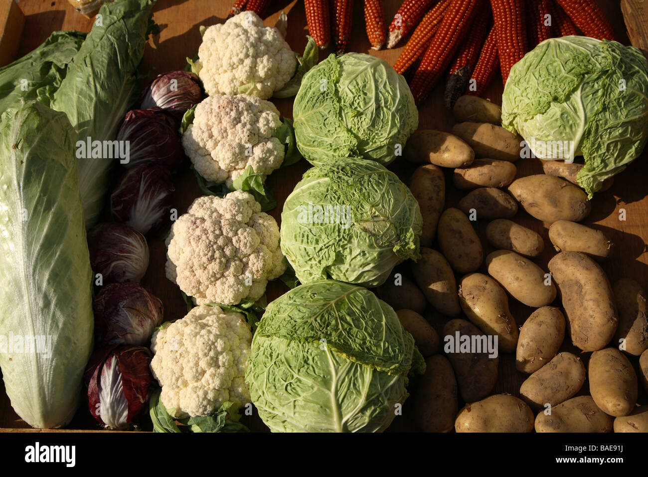Vegetables, Agricolture feast, Isera, Trentino, Italy Stock Photo - Alamy