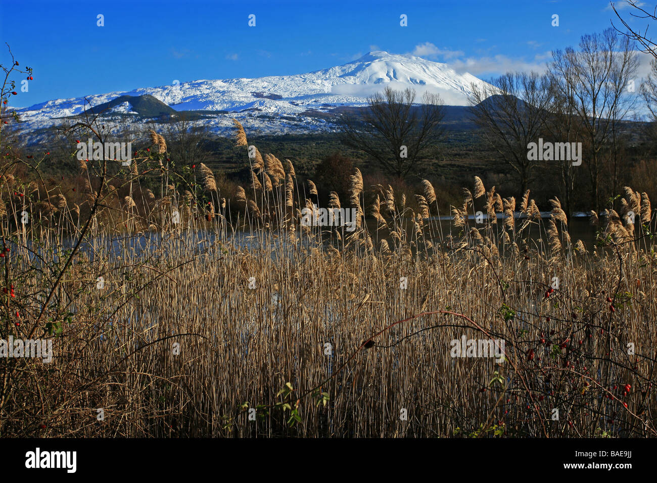 Gurrida lake hi-res stock photography and images - Alamy