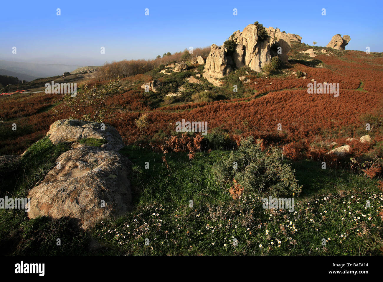 Rocche dell'Argimusco megaliths, Nebrodi mountain, Montalbano Elicona ...