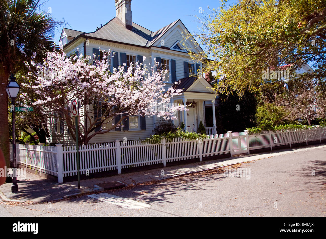 Smaller Georgian Mansion with blooming crap tree in garden in ...
