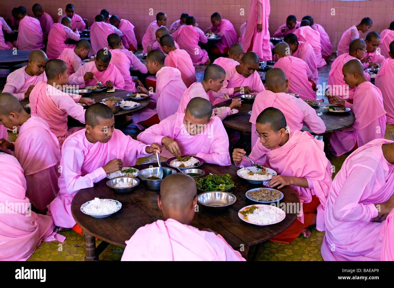 Myanmar (Burma), Yangon Division, Yangon, Kyeegmyintaing district ...