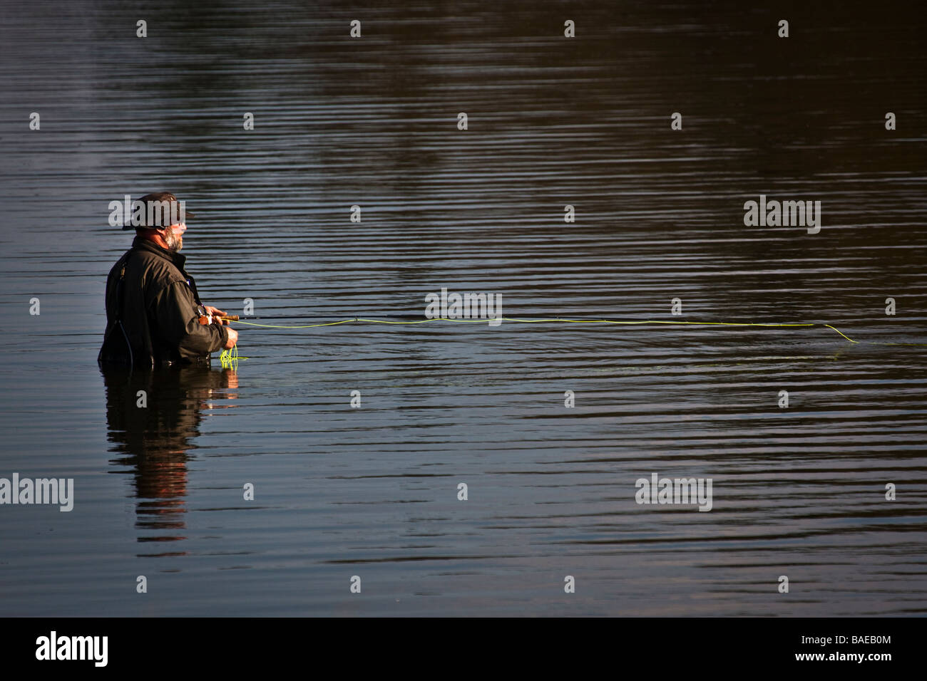 Trout fisherman wading at Thornton Reservoir Leicestershire Stock Photo ...