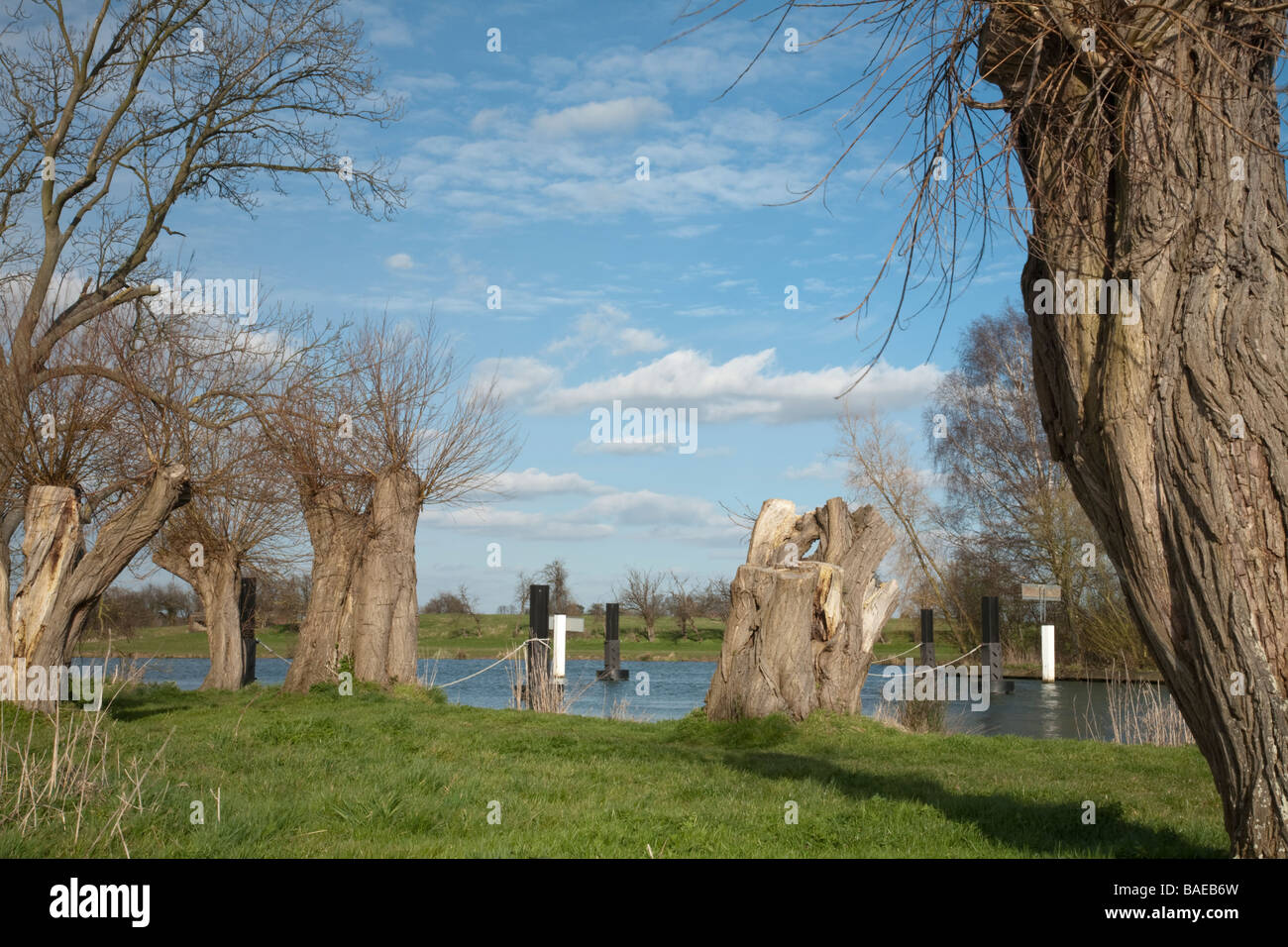 River Thames upstream of Day's Lock Little Wittenham Oxfordshire Uk ...