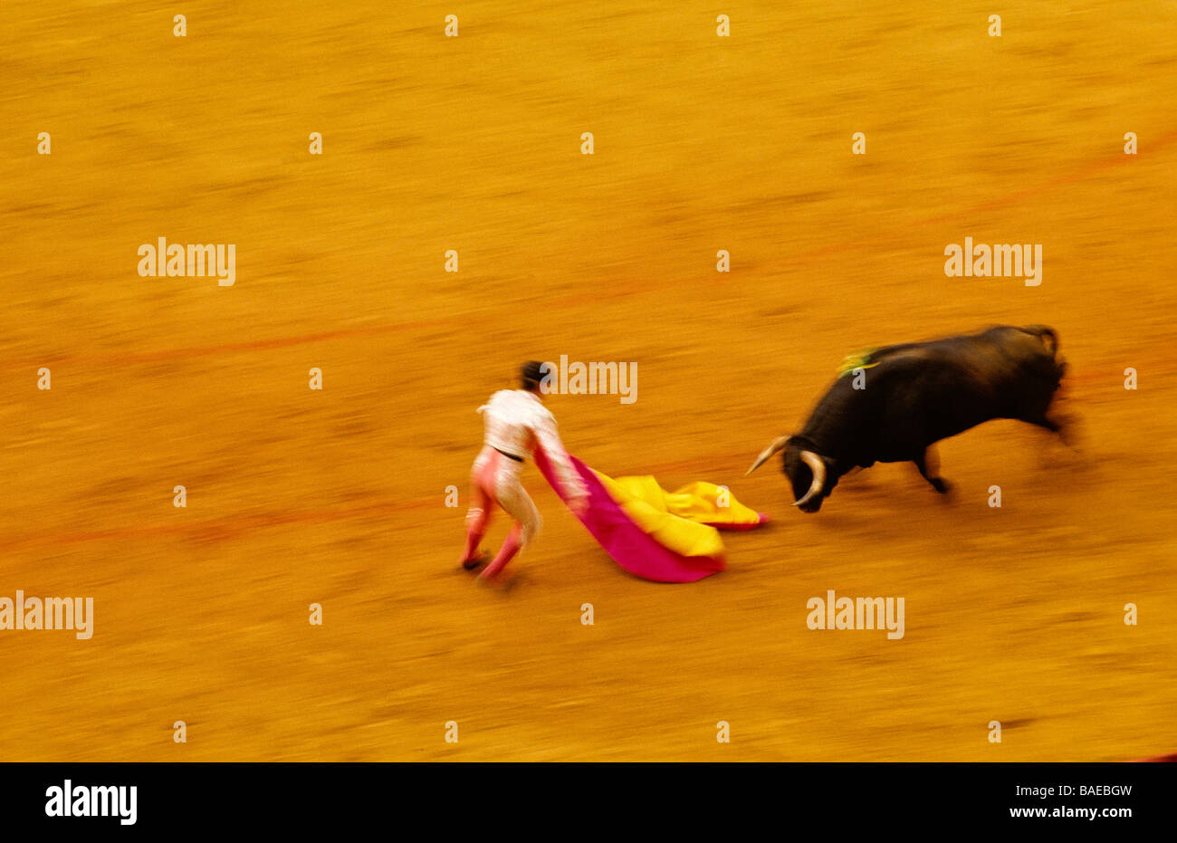 Cordoba bullfighting hi-res stock photography and images - Alamy