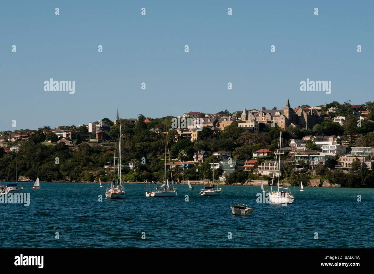 Rose Bay Sydney Harbour sailing boats Australia Stock Photo - Alamy