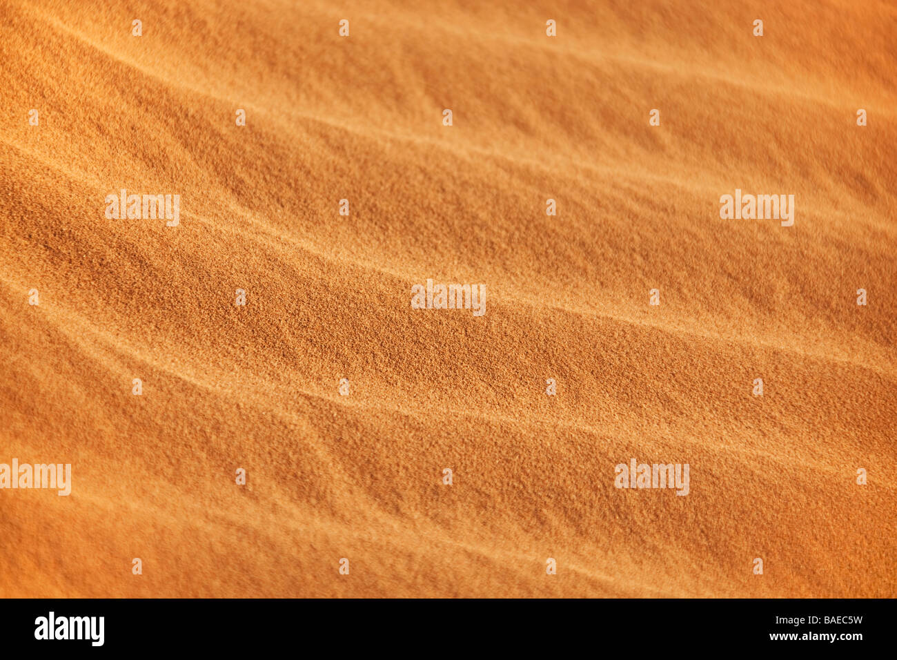 Soft desert ground hi-res stock photography and images - Alamy