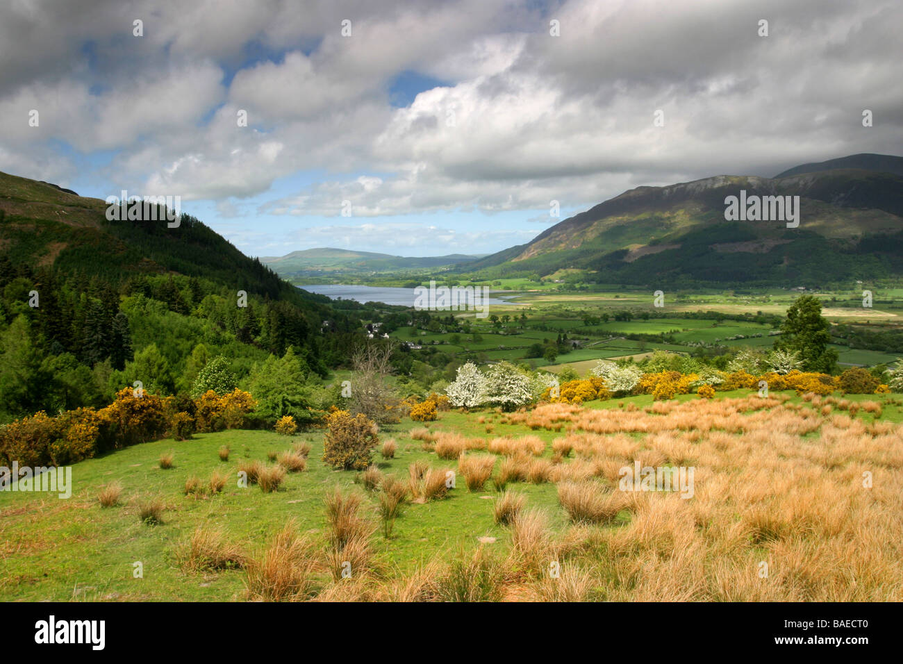 Bassenthwaite Lake form Knott Head Viewpoint Lake District Cumbria ...