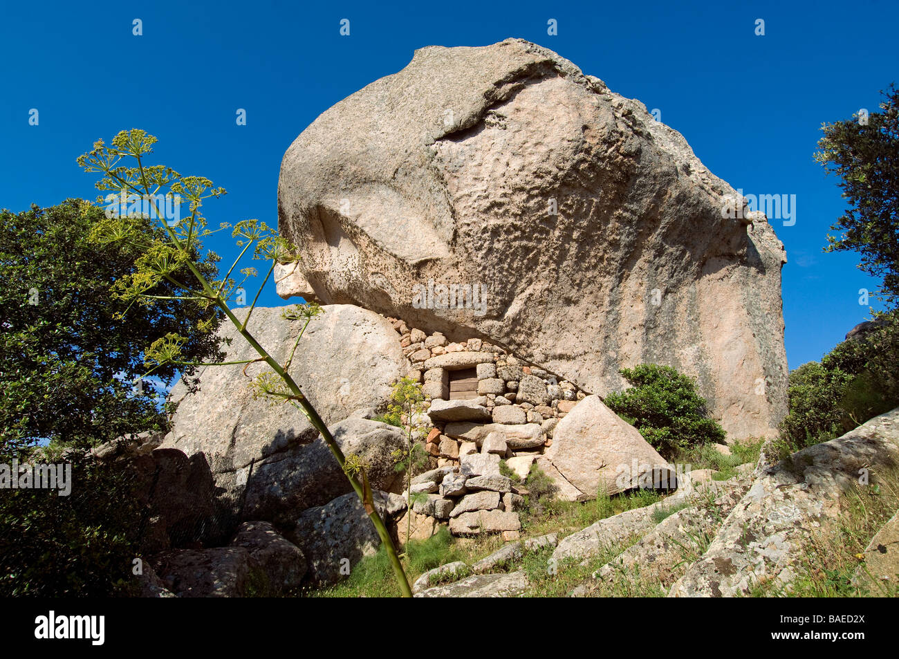 Formation agricole hi-res stock photography and images - Alamy