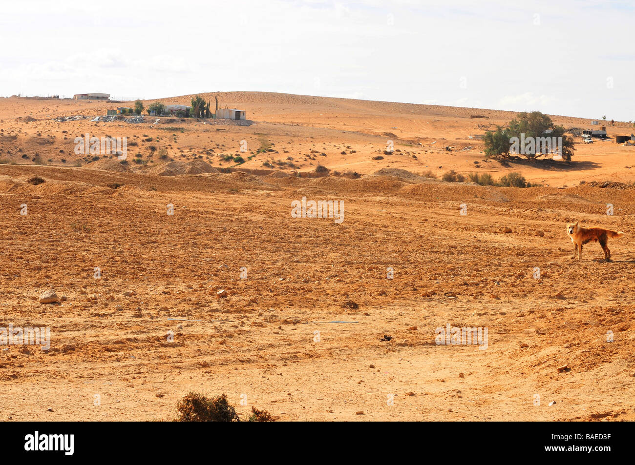 Negev bedouin home hi-res stock photography and images - Alamy
