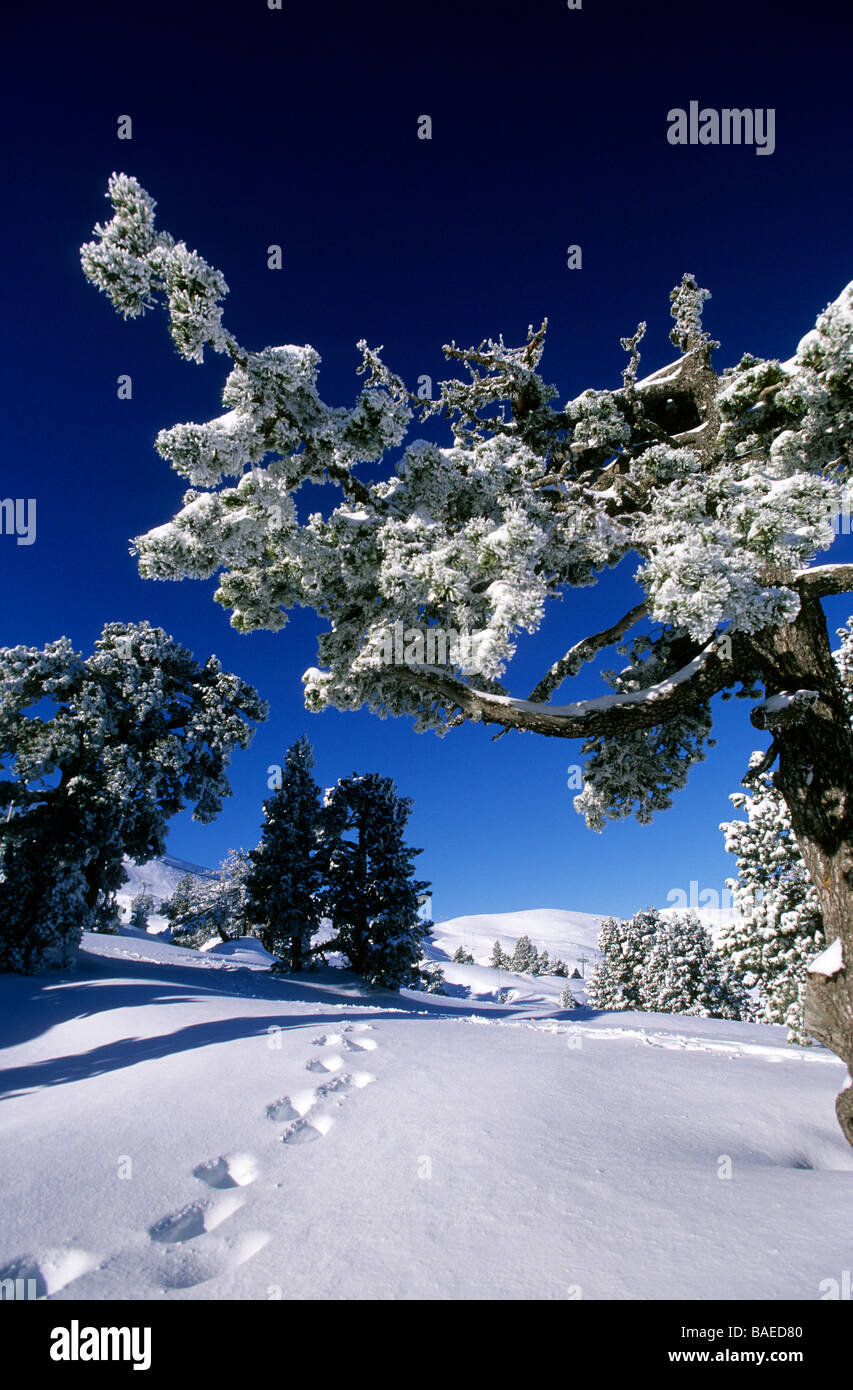 La pierre saint martin france hi-res stock photography and images - Alamy