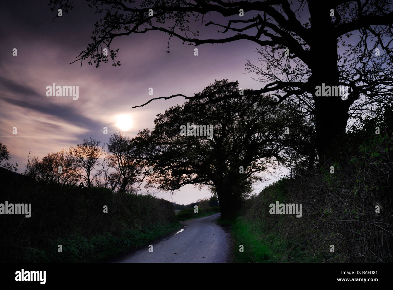 Rural country lane in the South Downs near Graffham west sussex England ...