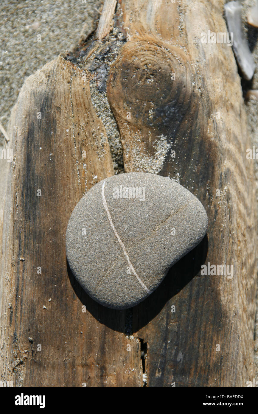 rock on piece of drift on sand beach shore coast Stock Photo - Alamy