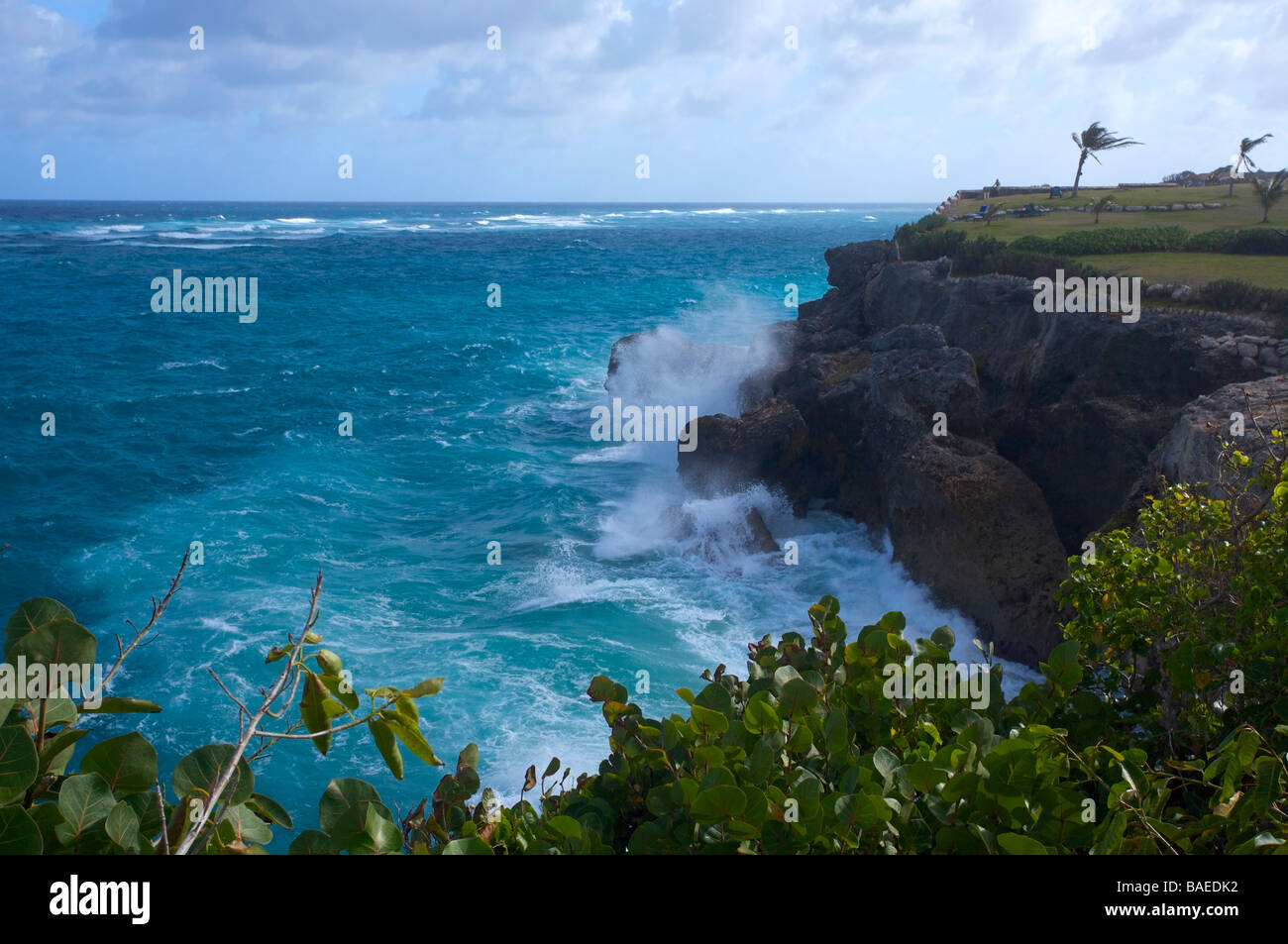 The cliff barbados hi-res stock photography and images - Alamy