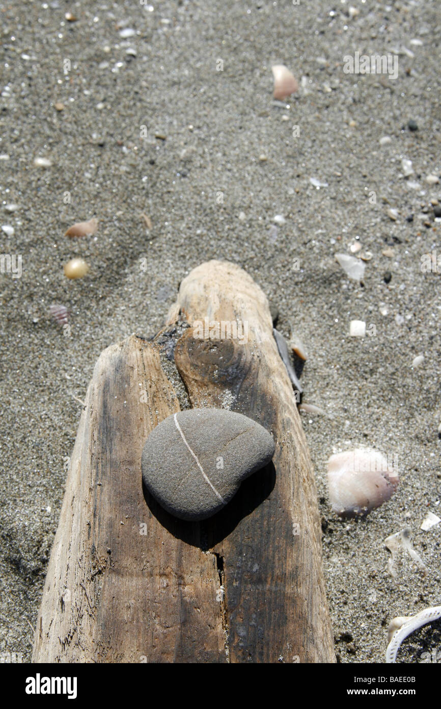 rock on piece of drift on sand beach shore coast Stock Photo - Alamy