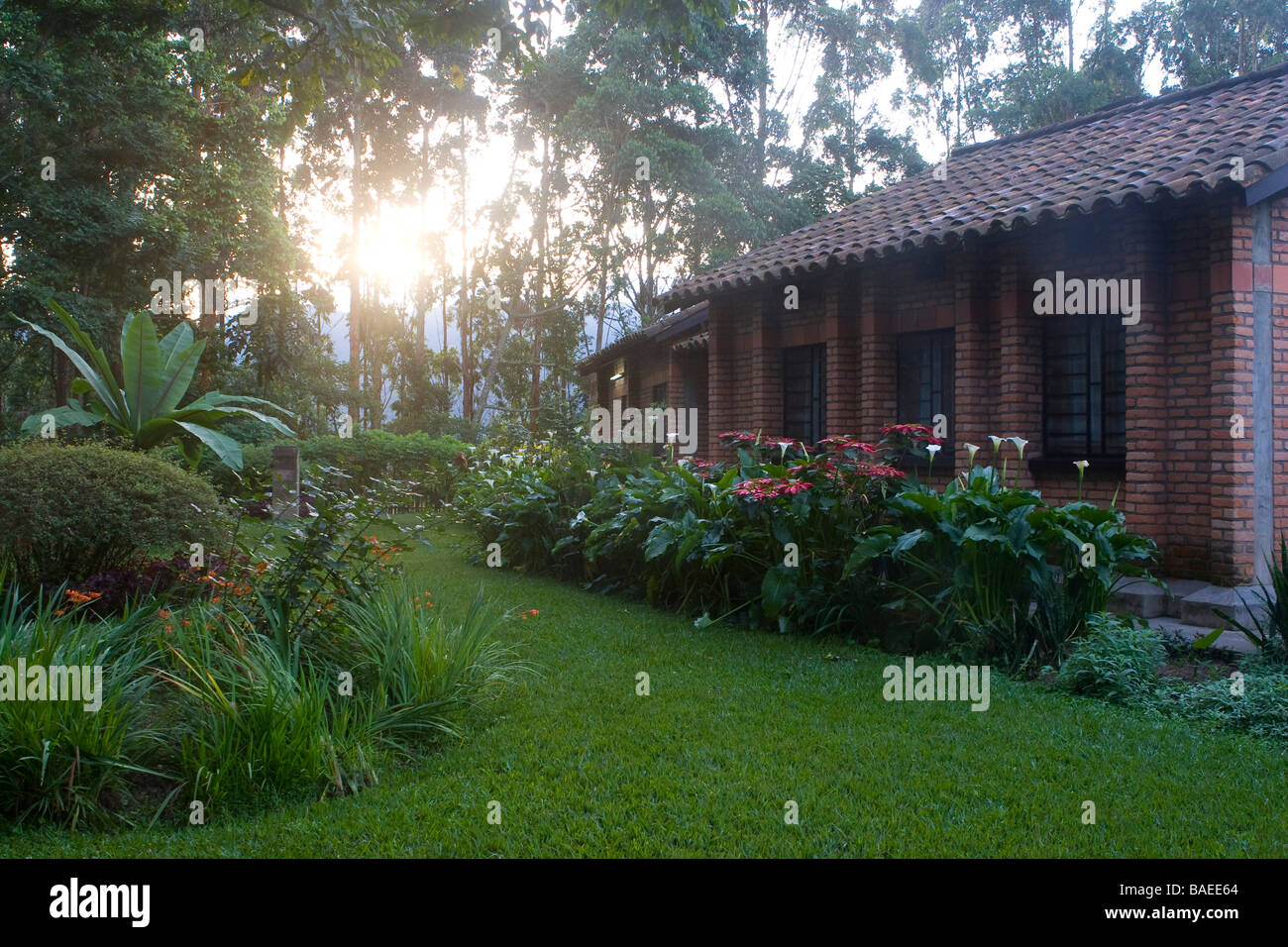 Garden of Guest House, Gisakura, Rwanda Stock Photo - Alamy