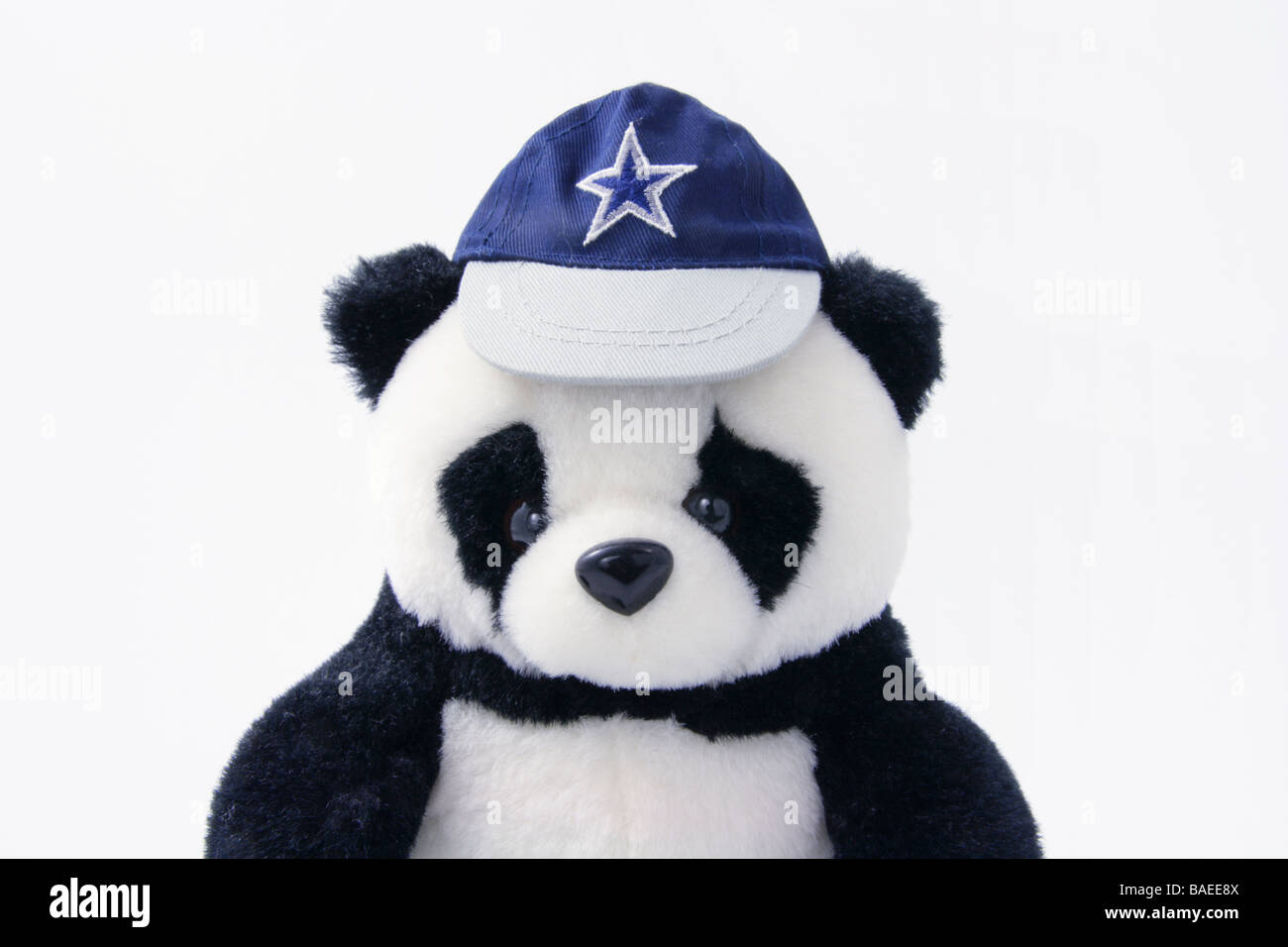 Soft Toy Panda with Cap Stock Photo - Alamy
