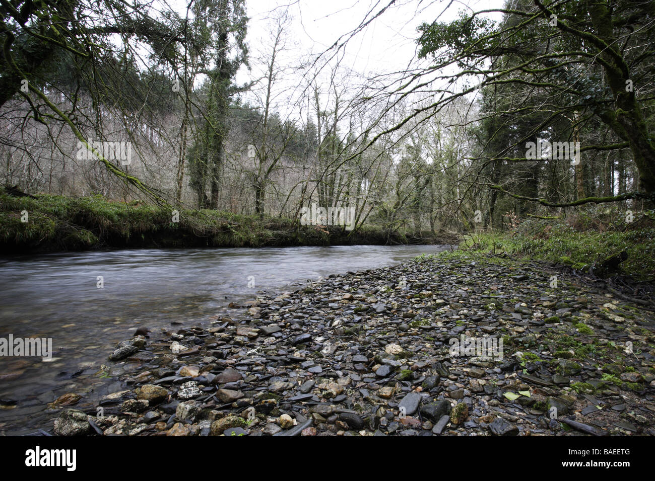 River Camel, Dunmere, Bodmin, Cornwall Stock Photo - Alamy