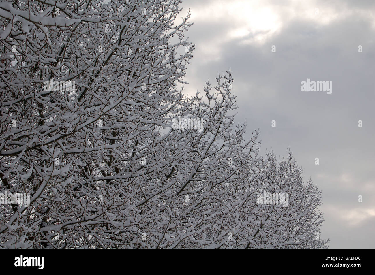 Gray sky snow hi-res stock photography and images - Alamy