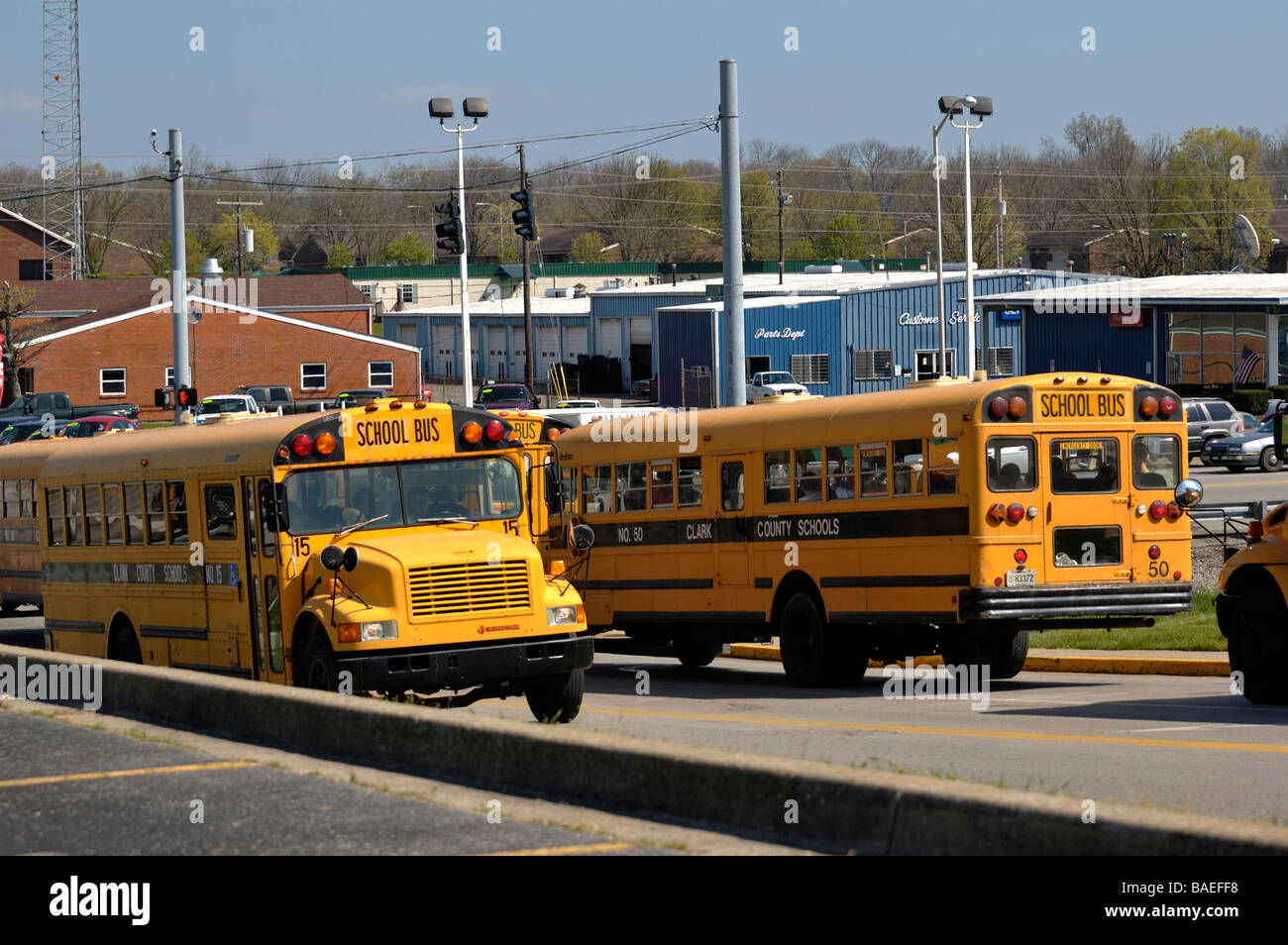 Yellow school buses Stock Photo - Alamy
