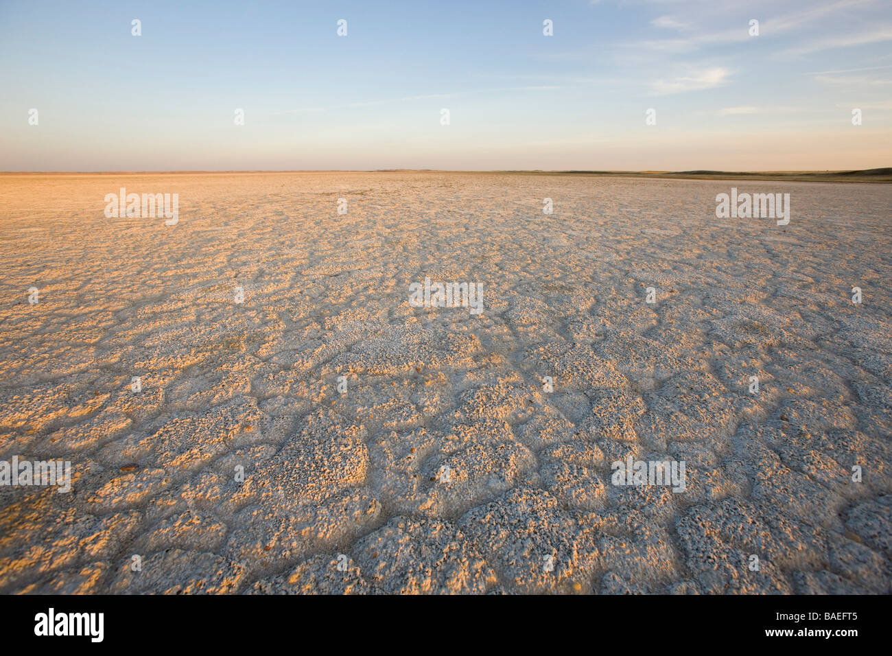 Dry ground reaching into the horizon Stock Photo - Alamy