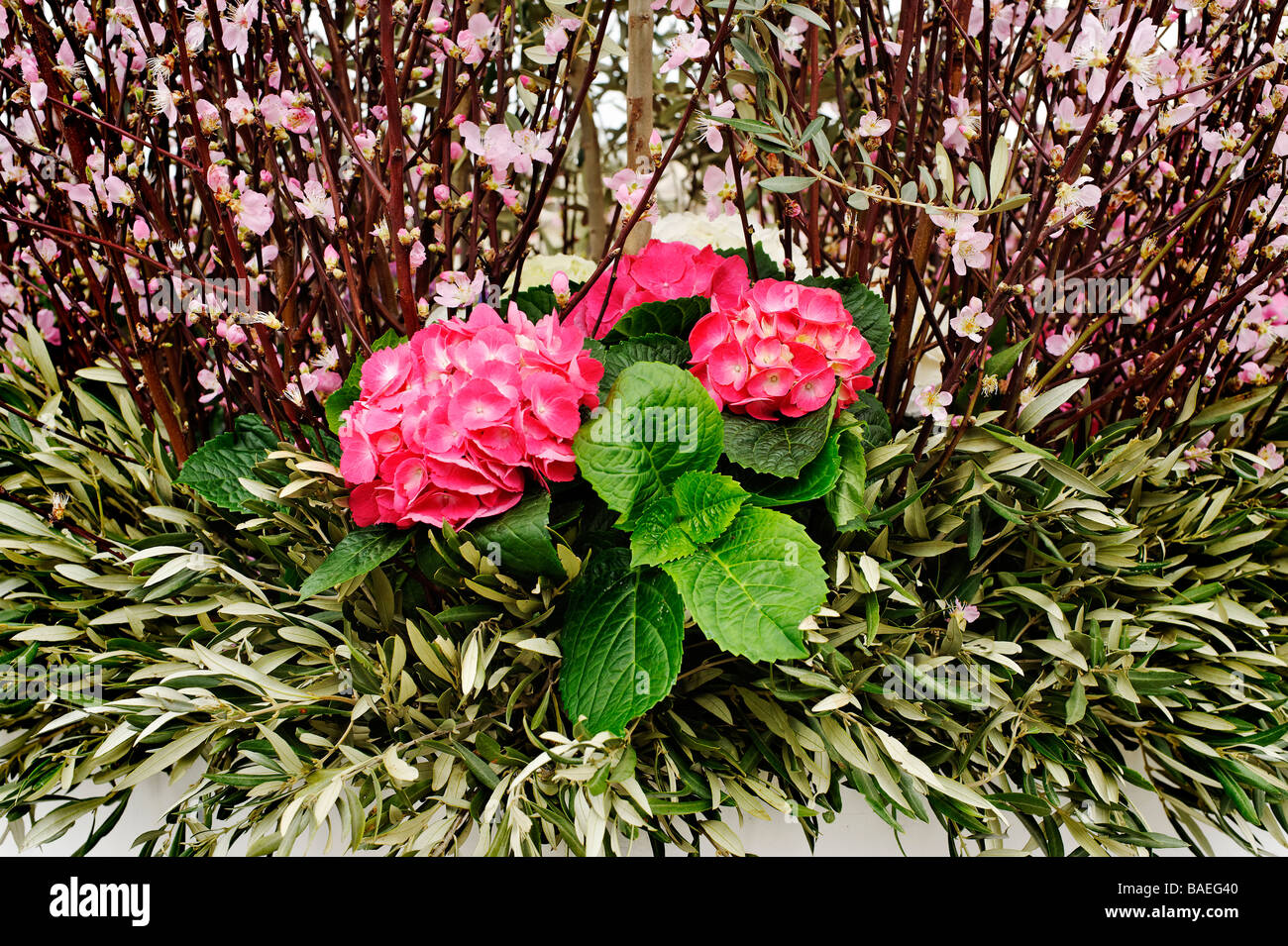 Red floral display hi-res stock photography and images - Alamy