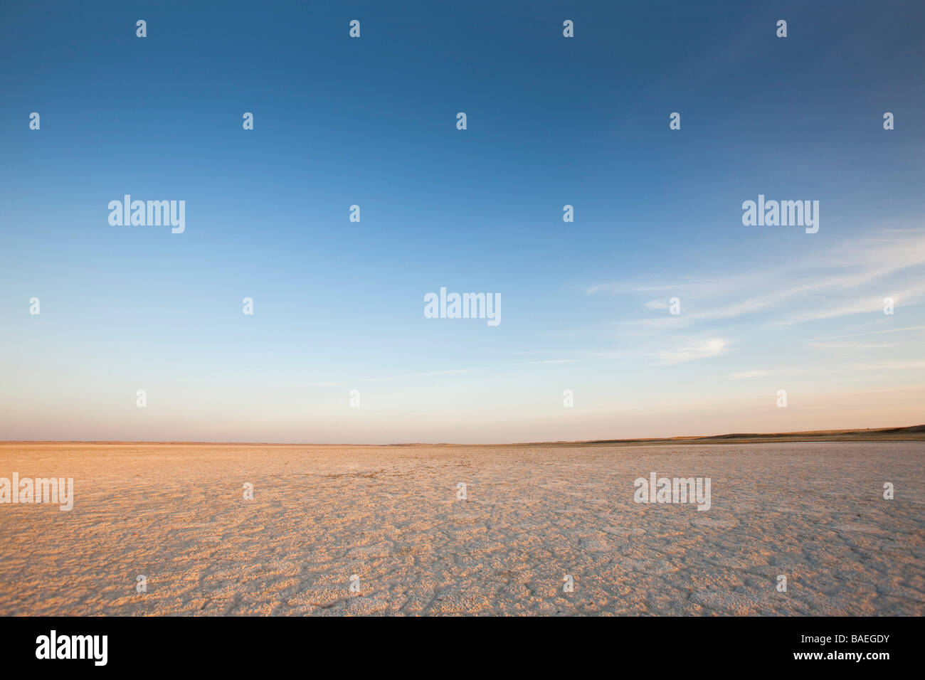 Dry ground reaching into the horizon Stock Photo - Alamy