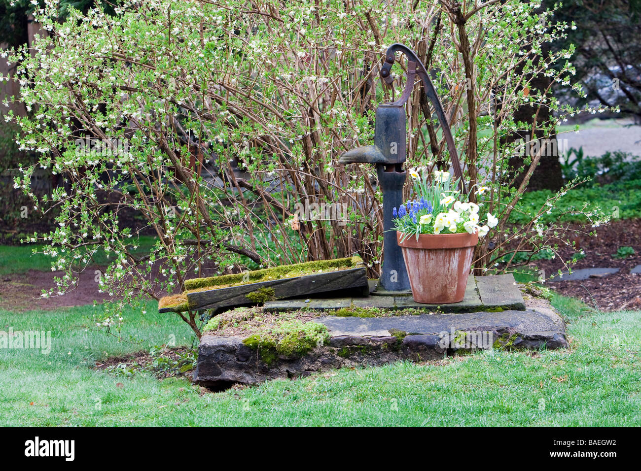 AN ANTIQUE GARDEN HAND PUMP Stock Photo - Alamy
